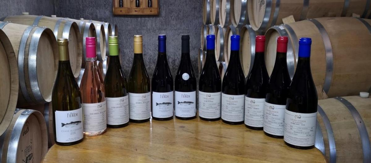 Crama Ferdi - Prahova, Muntenia