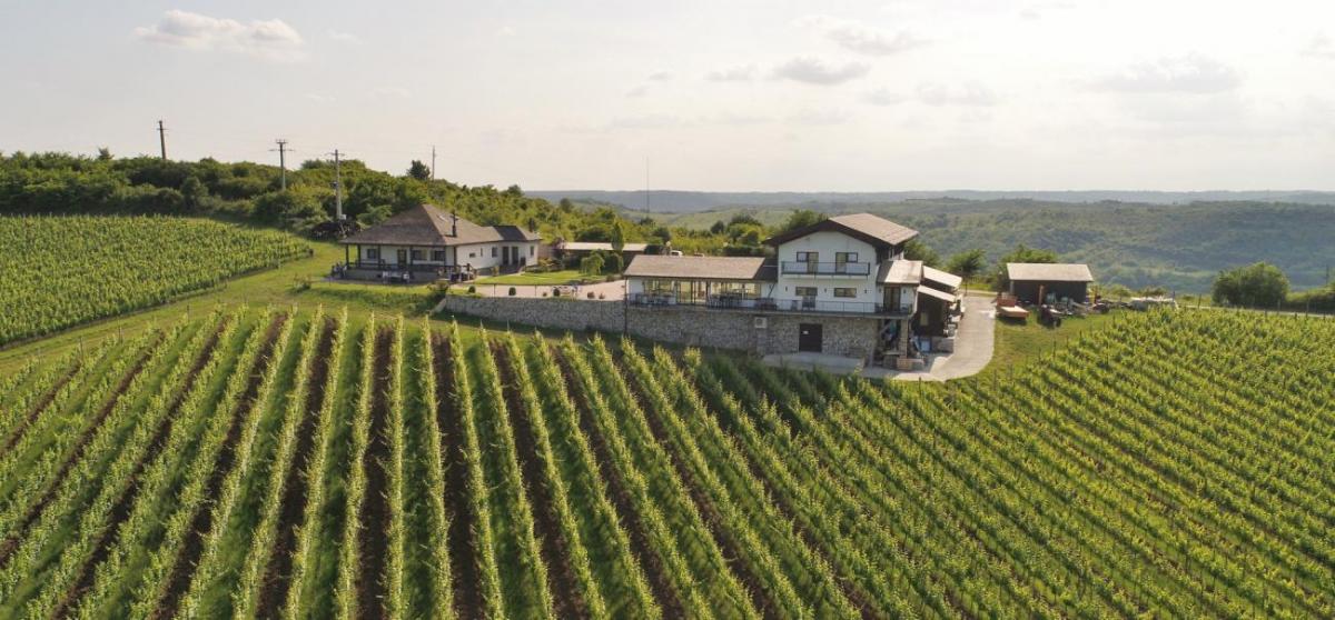 Domeniul Dragasi - Dragasani, Oltenia