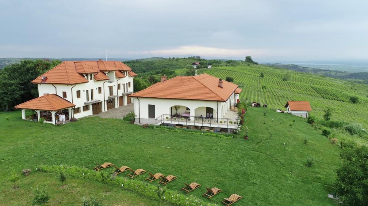 Bauer Winery - Dragasani, Oltenia